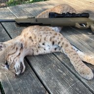 can you download "other" sounds to foxpro calls? | Predator Masters